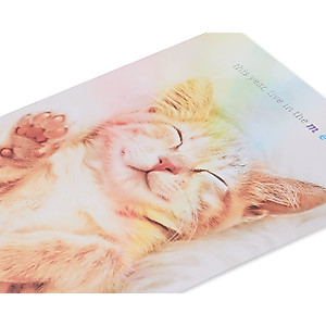 Papyrus Cat Birthday Card (Happy Birthday)