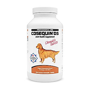 Nutramax Cosequin DS Joint Health Supplement for Dogs - With Glucosamine and Chondroitin, 250 Chewable Tablets