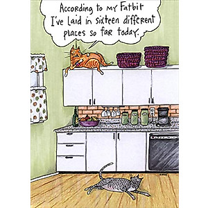 Oatmeal Studios Two Cats in Kitchen Funny/Humorous Birthday Card