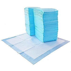 Amazon Basics Absorbent Puppy Pads for Potty Training and Incontinence, 5-Layer Leak-Proof Design, Quick-Dry Surface, Regular Size, 22 x 22 Inch, Scented, Pack of 100, Blue & White