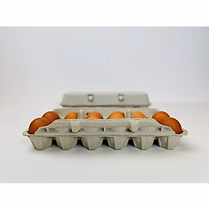 100 Solid top Non-Printed Dozen Egg Cartons