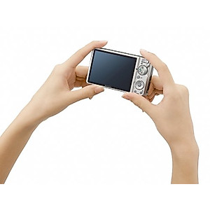 Sony Cyber-shot DSC-W290 12.1 MP Digital Camera with 5x Optical Zoom and Super Steady Shot Image Stabilization (Silver)