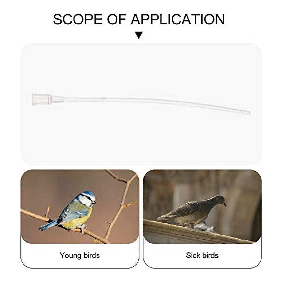 iplusmile Bird Feeding Tube Birds Feeding Syringe, Parrot Feeding Hose Syringe Birds Feeder Tool for Feeding Milk Water, 5pcs