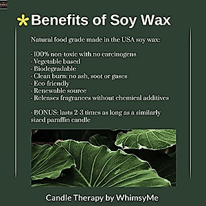 Fireball Candle - Red Hot Cinnamon Whiskey Candle - Fireball Whiskey Gifts - Mens Candles for Home - Cinnamon Whiskey Fireball - Whiskey Candle - Bourbon Candle - Cool Candle - In My Kitchen Handmade