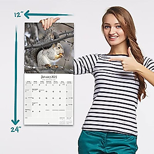 Squirrel Calendar - Cute Animal Calendar - Calendars 2022 - 2023 Wall Calendars - Animal Calendar - Squirrels 16 Month Wall Calendar by Avonside