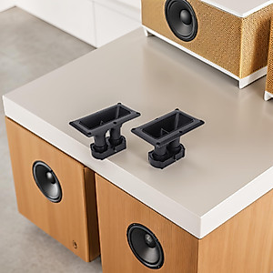 Estink 3-20KHz Wide Dispersion Horn Tweeter, Dual Drive Ceramic High Sensitivity Piezoelectric Speaker, Piezoelectric Speaker Buzzer Treble for Home Subwoofer Stage Loudspeaker DJ Speaker