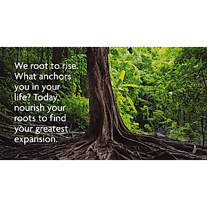 Wit and Wisdom from the Yoga Mat: 125 Peaceful Poses, Mindful Musings, and Simple Tricks for Leading a Zen Life