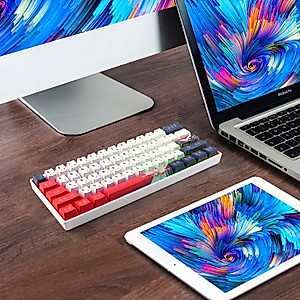 Heywood SK61 60% Mini Hot Swappable Keyboard, Wired Mechanical Gaming Keyboard, Gateron Optical Switches, RGB Backlit, N-Key Rollover for Windows/Mac (Gateron Optical Red, Phoenix)