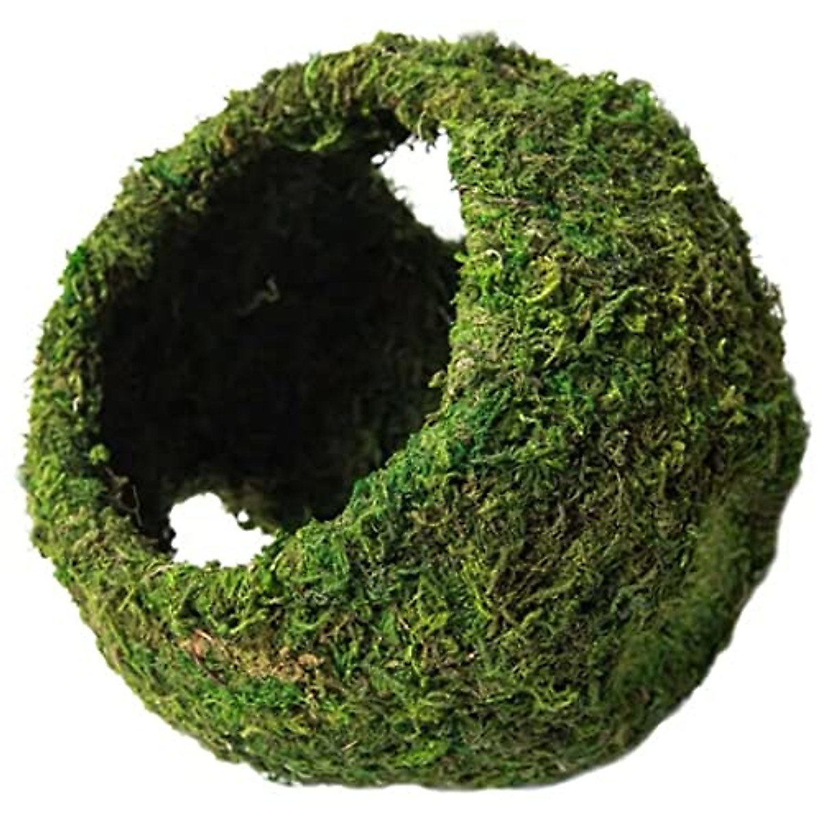 Galapagos 05344 Mossy Cave with Holes for Aquarium, 7.5", Green (759834053446)