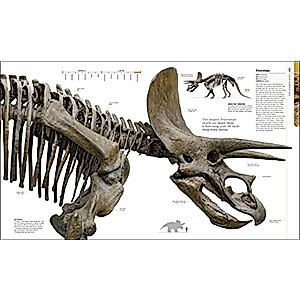 Dinosaurs and Prehistoric Life: The Definitive Visual Guide to Prehistoric Animals (DK Definitive Visual Encyclopedias)