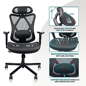 Mesh Office Chair, Ergonomic Office Chair with Adjustable Lumbar Support, Armrest, Headrest - Tilt High Back Desk Chair with Mute Wheel for Office, Home, Gaming