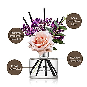 Cocod'or COCODOR Rose Flower Reed Diffuser/Black Cherry/6.7oz(200ml)/1 Pack/Reed Diffuser, Reed Diffuser Set, Oil Diffuser & Reed Diffuser Sticks, Home Decor & Office Decor, Fragrance and Gifts