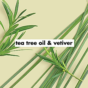 Love Beauty and Planet Radical Refresher 100% Biodegradable Shampoo Detoxifying & Purifying Tea Tree Oil & Eucalyptus Vegan Shampoo 0% Sulfates, Silicones, Parabens, and Dyes 13.5 oz