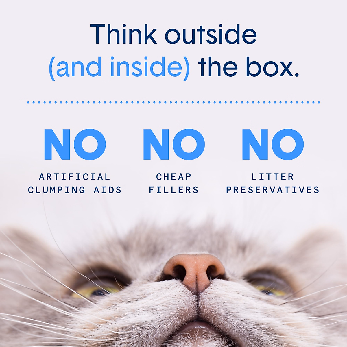 Boxie® Unscented 30 Day Natural Odor Control Cat Litter, 11.5lb Lightweight Plant Based Kitty Litter