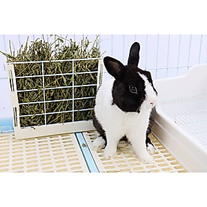 RUBYHOME Hay Feeder for Rabbits, Guinea Pigs, and Chinchillas - Minimize Waste and Mess with 9 1/4" x 3 3/4" x 8" Hanging Alfalfa and Timothy Hay Dispenser (White)