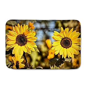 Beauty Collector Sunflower Mats and Rugs Non Slip Pretty Decoration Welcome Rugs for Kitchen Bathroom Living Room Home Decor