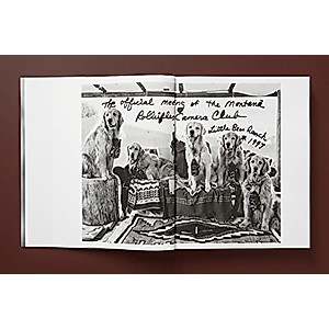 The Golden Retriever Photographic Society