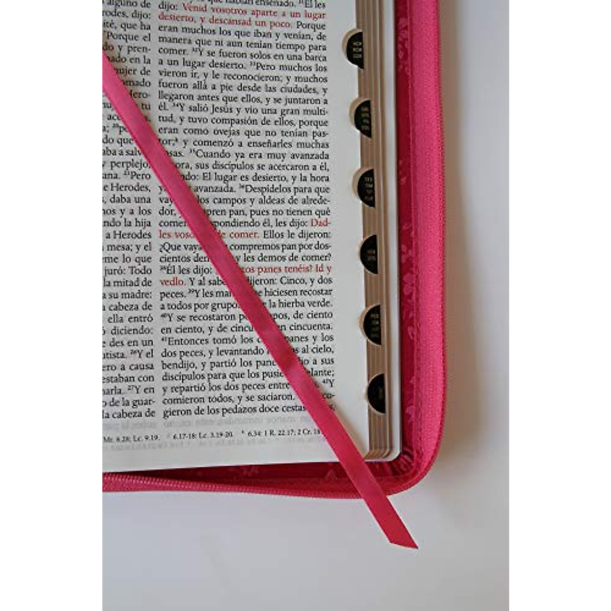 Biblia Reina Valera 1960 letra grande. Símil piel fucsia, cremallera, índice, ma nual / Spanish Bible RVR 1960. Handy Size, Large Print, Leathersoft