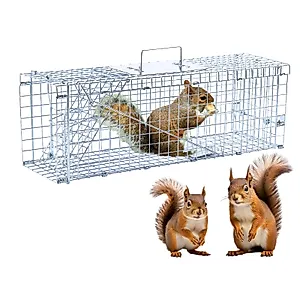 24" Live Animal Trap, Humane Animal Trap for Stray Cats up to 5.5 pounds, Raccoons, Squirrels, Skunks, Moles, Marmots, Armadillos, Rabbits, Steel Folding with Pedal Trigger