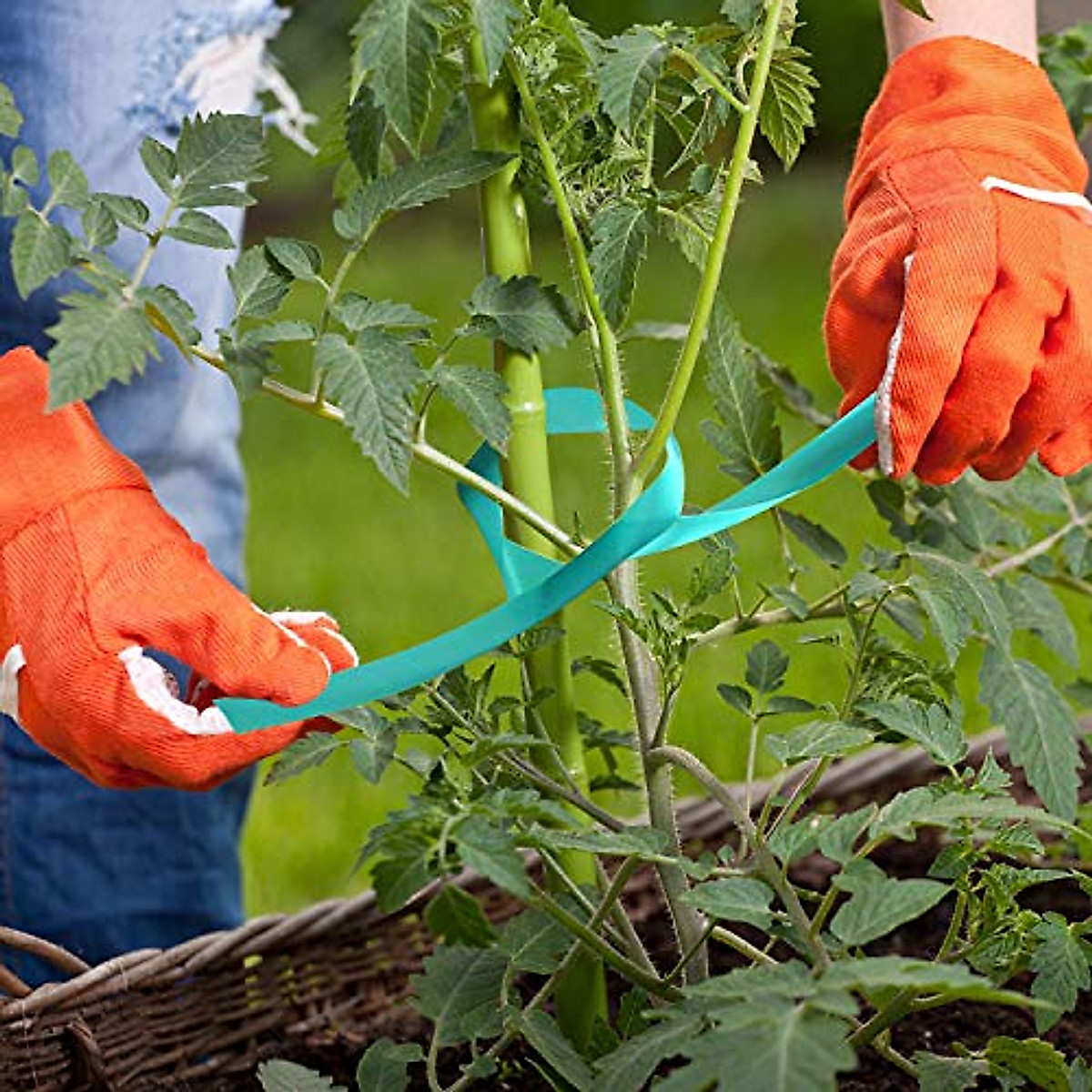 4 Rolls Stretch Tie Tape, 1/2 Inch Wide Garden Tie Tape Thick Plant Ribbon Garden Green Vinyl Stake for Branches, Flowers, Plants, Total 600 Feet (0.5 Inches)