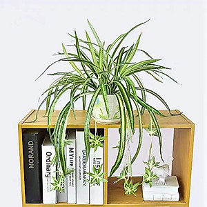 GBESTWOOW Artificial Spider Plant Hanging Vine Fake Greenery for Home Garden Office Wedding Decoreation 2pcs