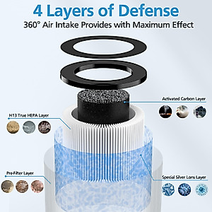 iSingo 2 Pack MK-01 MK-06 TZ-K1 True HEPA Replacement Filter Compatible with MK-01 MK-06, ToLife TZ-K1, POMORON MJ001H, EPI081/EP1081 and Intelabe EPI080/EP1080 Air Purifier