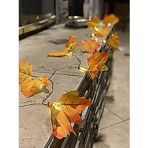 Joiedomi 2 Pack 14.7FT Thanksgiving Lights Fall Maple Leaves String Lights with 20 LED Warm White Lights for Autumn Garland, HomeThanksgiving Indoor Outdoor Decor