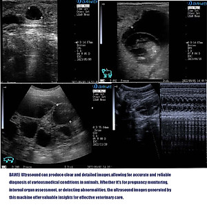 DAWEI S1 Veterinary Portable Ultrasound Machine for Pregnancy Vet Handheld Scanner B-Ultra Sound with Probe for Horse,Cattle,Pig,Goat,Dog,Cat