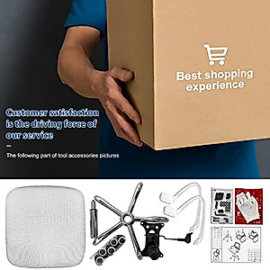 PPW Office Chair,Ergonomic Dual Backrests,Desk Chair Back Support, Best Office Chair for Posture, Mesh Office Chair,(Cushion is Light Gray)