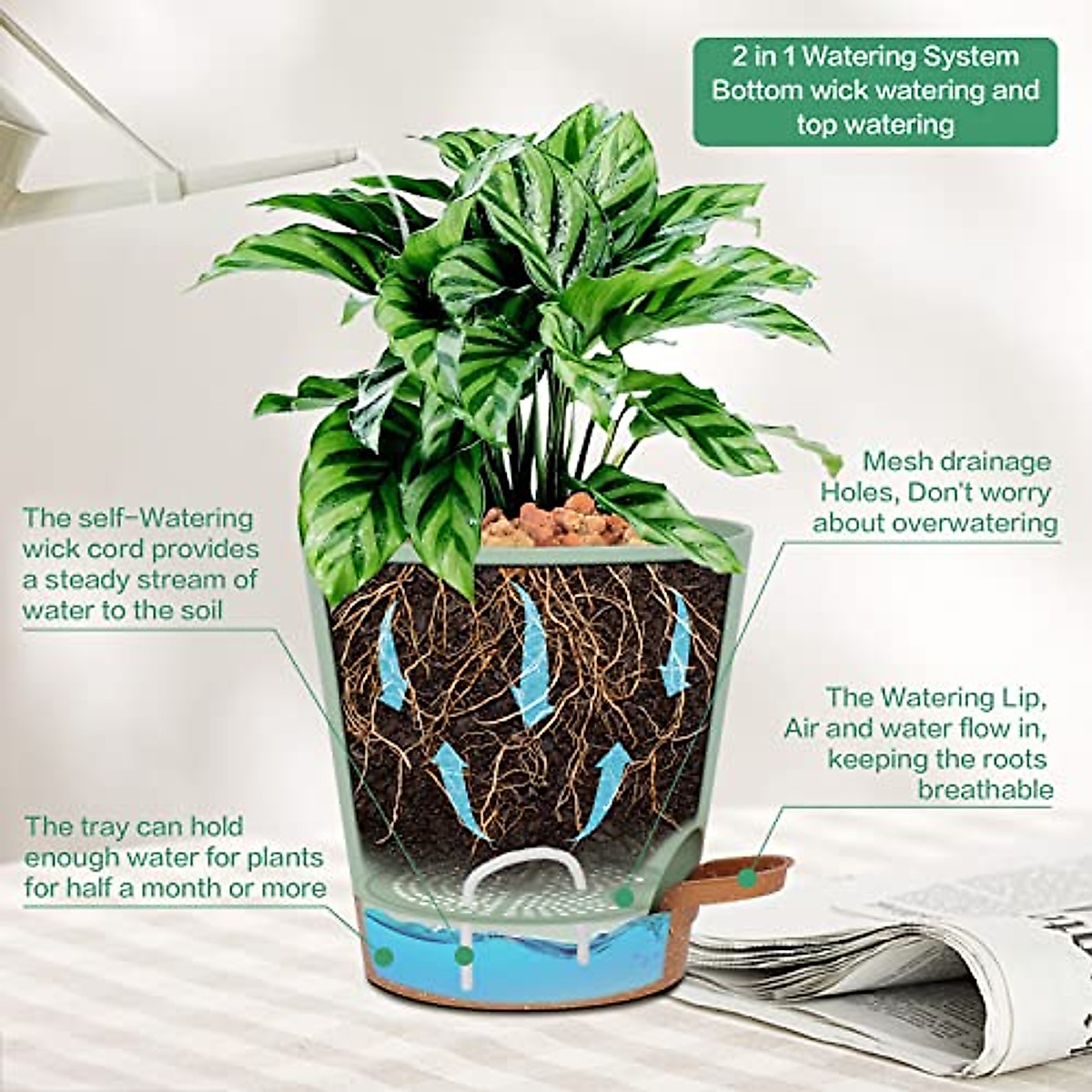 Warmplus Plastic Planters for Indoor Outdoor Plants and Flowers, 8/7/6.5/6/5.5/5 Inch Plant Pots with Drainage Holes,Watering Wick / Lip, Green