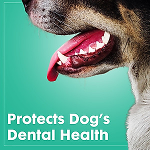 Dog Chew Toys for Aggressive Chewers – Tough Chew Toys for Dogs with Treat Dispenser – Indestructible Rubber Dog Toy for Teeth Cleaning – Chew Bones for Large Dogs