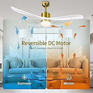 Wisful 56" Ceiling Fans with Lights Remote Control,Outdoor Wood Ceiling Fan with Light Memory for Patio Gazebo Living Room Bedroom(Gold and White)