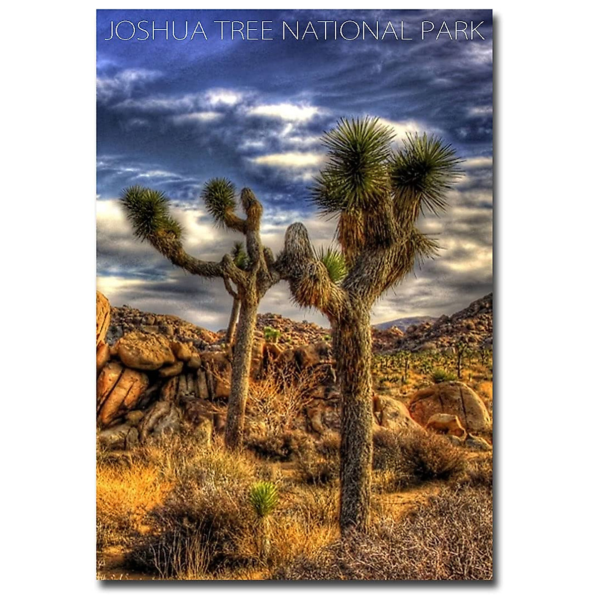 Joshua Tree National Park, California Fridge Magnet Size 2.5" x 3.5"