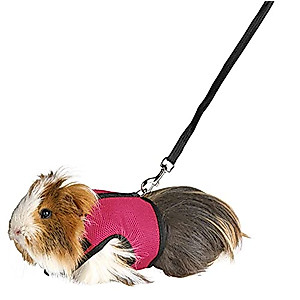 Trixie Pet Product 61512 Soft Harness with Leash for Small Animals Medium