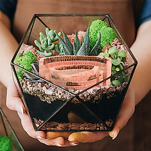 WINOMO 1pc Colosseum Resin Crafts Mini Decor Miniture Decoration Miniature Decoration Sand Table Ornament Miniature Scene Decor Dining Table Bonsai Sand Set Decorate Model