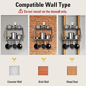 BestVida SparkWorks 2-Tiered Wall Mounted Pot Rack