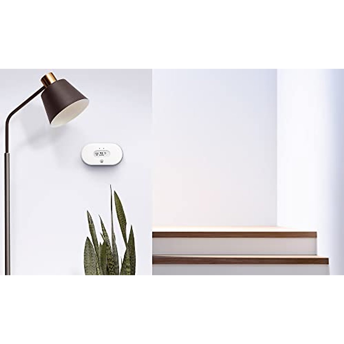 Airthings 2989 View Radon - Radon Monitor with Humidity & Temperature Detector - Battery Powered Mobile APP, WiFi, Alerts & Notifications