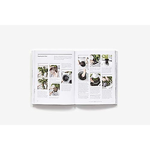 The New Plant Parent: Develop Your Green Thumb and Care for Your House-Plant Family