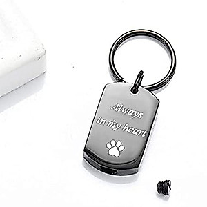QQJJSUDIW Urn Necklaces for Ashes Memorial Stainless Steel Pet Cremation Keychain Paw Print Keepsake Urn Dog/Cat Jewelry-A