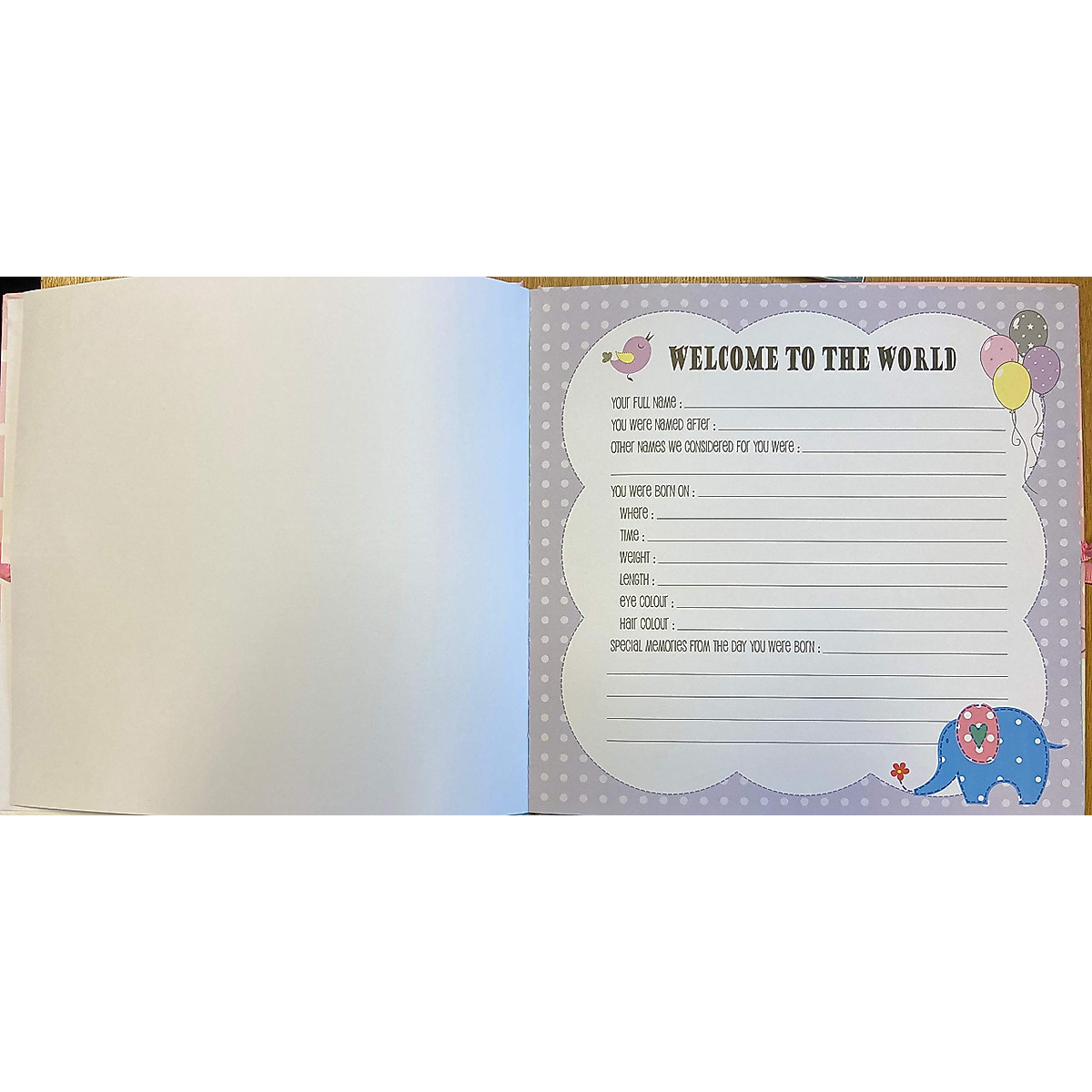 Baby's My First Year Record Log Book to Commemorate Birth Through Their First Year on Earth - Blue