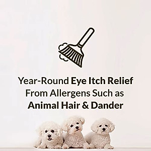 Allergy Eye Itch Relief Eye Drops by Alaway, Antihistamine, 10 mL