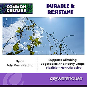 COMMON CULTURE Grow Strong Plant Trellis + Trojan Scissors - 6" Square Soft Mesh Nylon Trellis Netting Bulk Roll - Heavy-Duty Garden Netting for Plants - 5' x 350' - 1 Roll