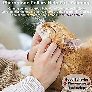 Wustentre 3 Pack Calming Collar for Cats, Cat Calming Collars, Cat Pheromones Calming Collar, Adjustable Cat Anxiety Collar for Cats and Kittens Stress Reliever Relaxing Comfortable Collar (Violet)