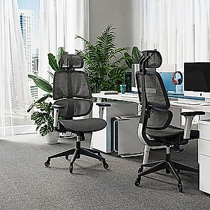LINSY HOME High-Back Office Chair, Swivel Ergonomic Task Chair with Adjustable Headrest and Arms, Lumbar Support and PU Wheels, Computer Mesh Chair for Home Office, Dark Grey