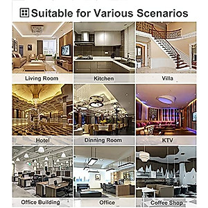 SUCHETA Modern Sliding Door Handle,European Style Barn Door Push Bar,Stainless Steel Interior Exterior Gate Handle,32"/35"/47"/51"/59" Long Door Socket (Size:80 cm/32inch,Style:Style1)