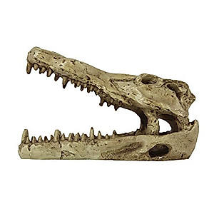 Pangea Reptile Crocodile Skull Terrarium Decoration, Tan