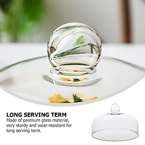 Cake Display Stand Cover 10 inch : Housoutil Cake Dome Cover Glass Cake Dome for Dessert Cheese-Dust- Proof Round Cake Holder Food Tent