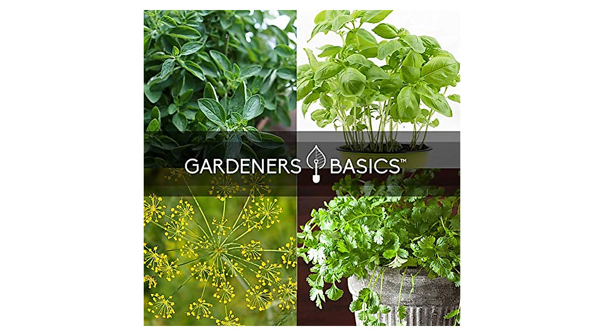 Herb Seeds Pack - 15 Non-GMO, Heirloom Varieties for Indoor & Outdoor ...