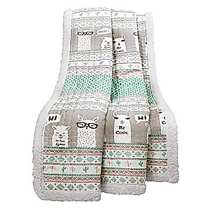 Lush Decor Llama Stripe Fuzzy Reversible Sherpa Throw Blanket, 60” x 50”, Turquoise & Pink