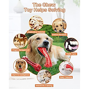 GEE BON 2 Pack Indestructible Dog Toys for Aggressive Chewers - Tough Dog Chew Toys for Aggressive Chewers Large Breed, Nylon Durable Dog Chew Bones with Bacon & Beef Flavor for Medium and Large Dogs